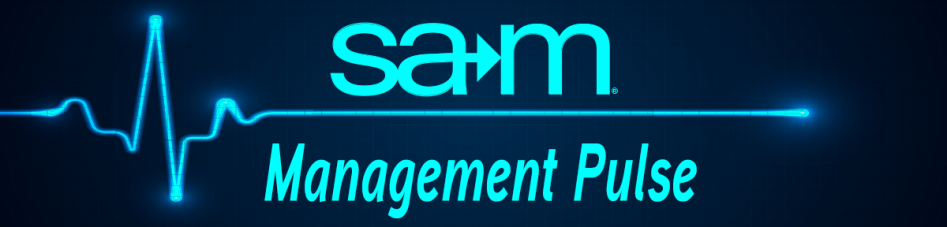 Mid-Year touchbase on Leadership Articles from MIT Sloan Management Review in 2025 - SAM C.E.N.T.S.